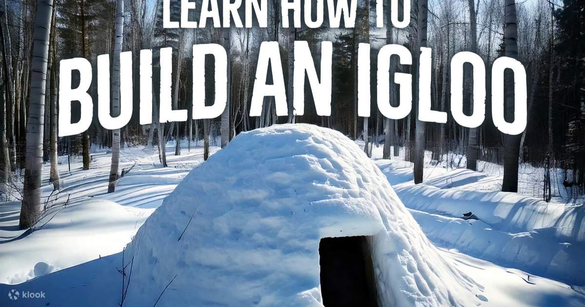 Igloo Building Tour from Toronto - Klook
